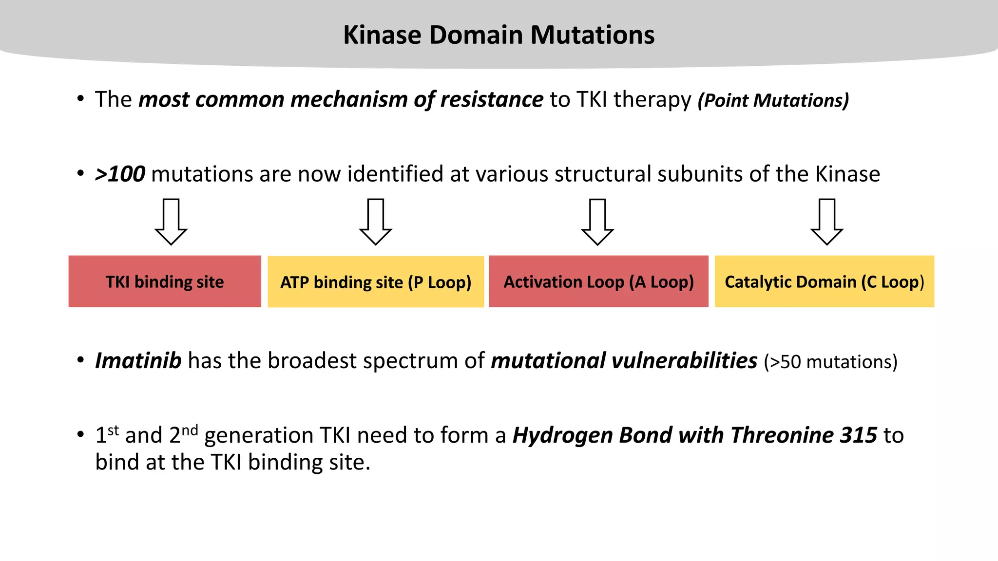 TKI Resistance Mechanisms in Chronic Myeloid Leukemia(CML) | PPTX