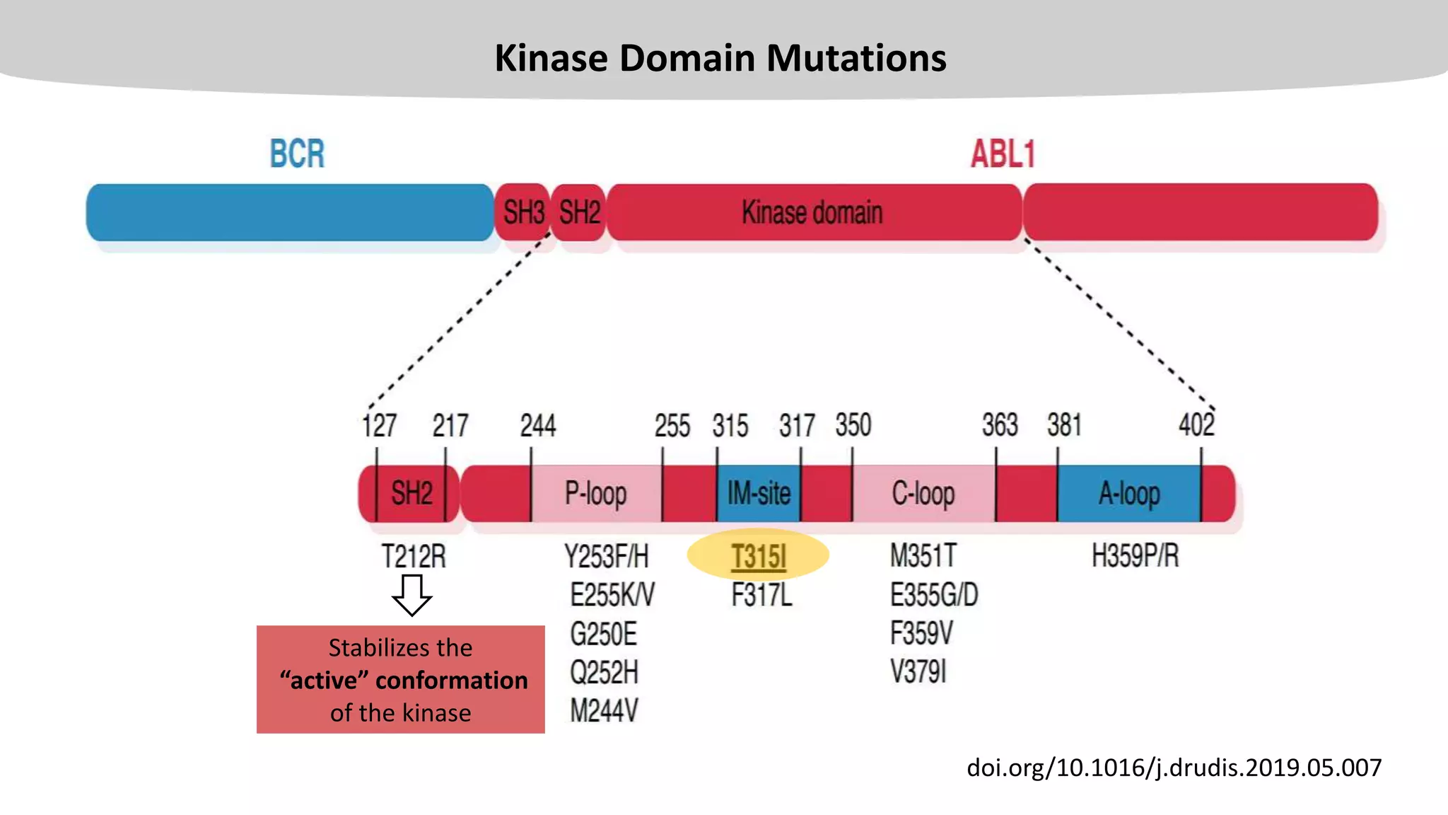 TKI Resistance Mechanisms in Chronic Myeloid Leukemia(CML) | PPTX