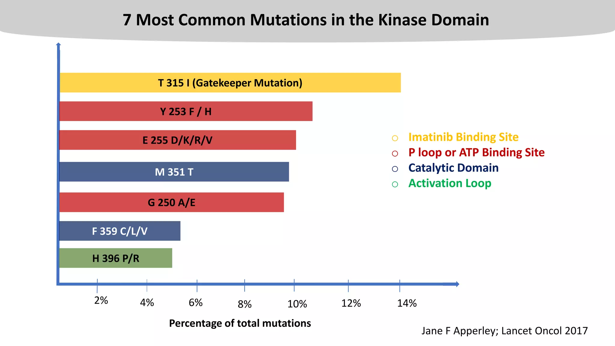 TKI Resistance Mechanisms in Chronic Myeloid Leukemia(CML) | PPTX