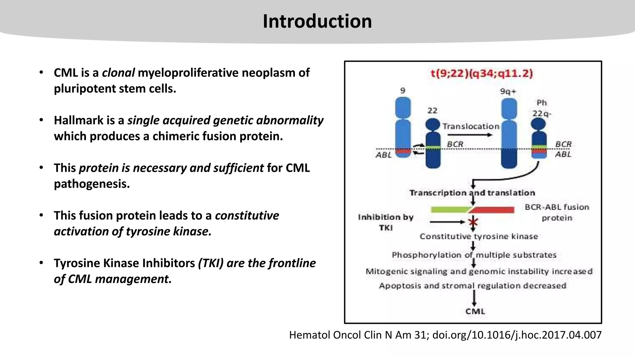 TKI Resistance Mechanisms in Chronic Myeloid Leukemia(CML) | PPTX