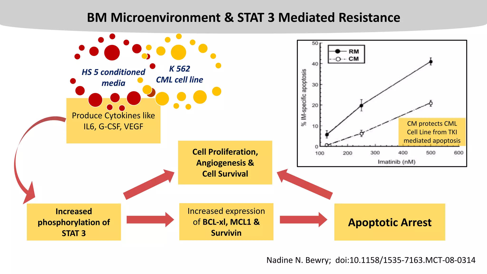 TKI Resistance Mechanisms in Chronic Myeloid Leukemia(CML) | PPTX