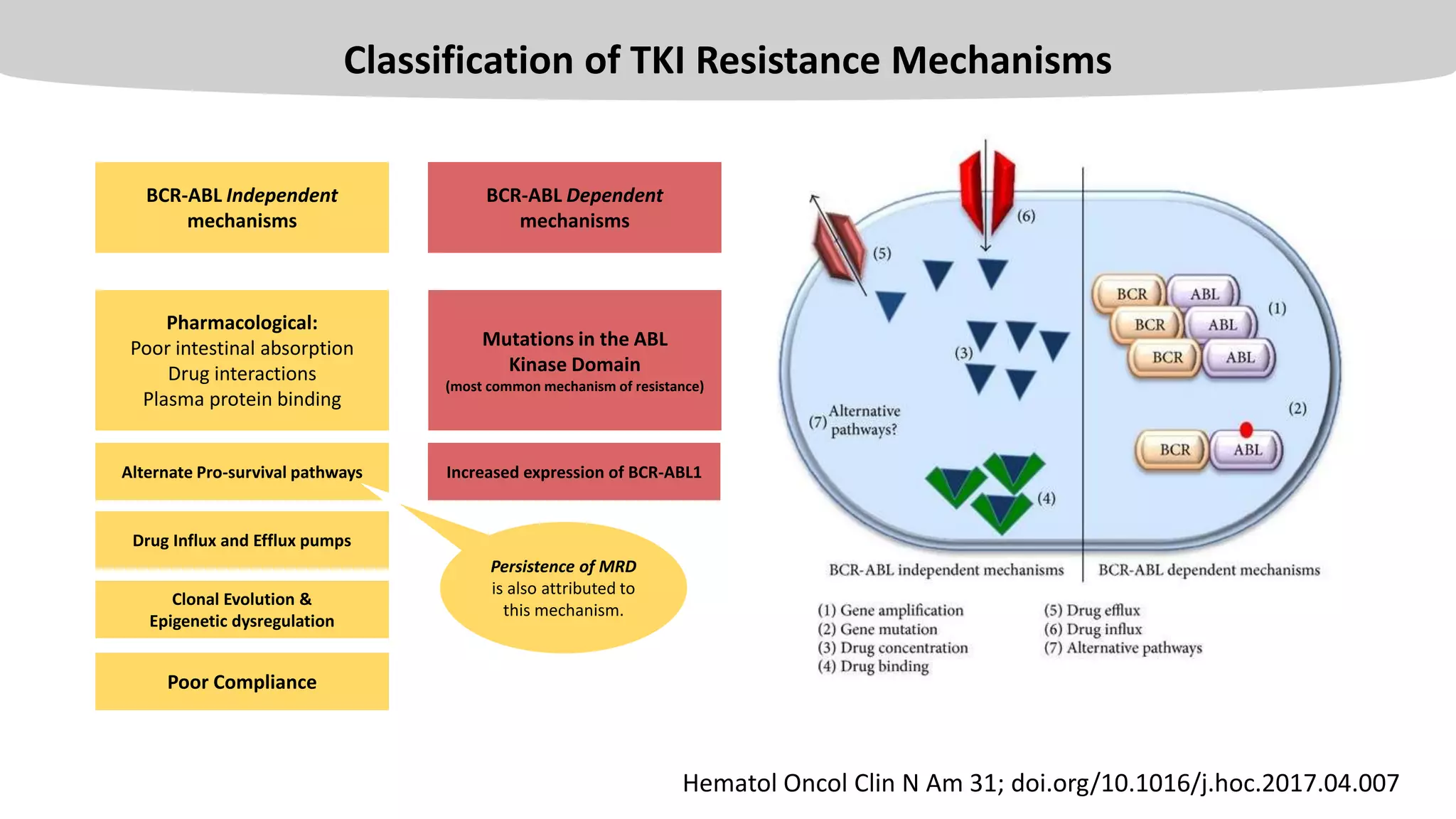 TKI Resistance Mechanisms in Chronic Myeloid Leukemia(CML) | PPTX