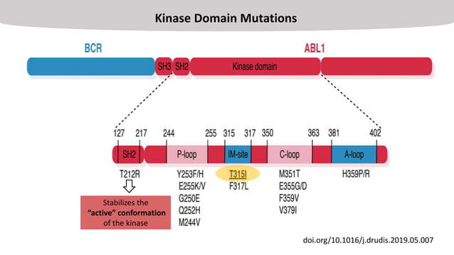 TKI Resistance Mechanisms in Chronic Myeloid Leukemia(CML) | PPTX