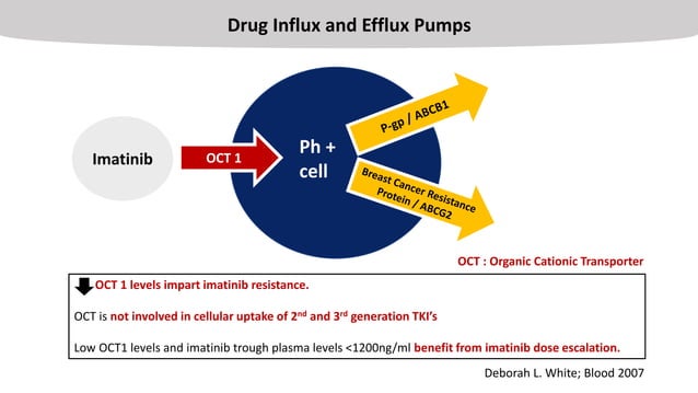 TKI Resistance Mechanisms in Chronic Myeloid Leukemia(CML) | PPTX