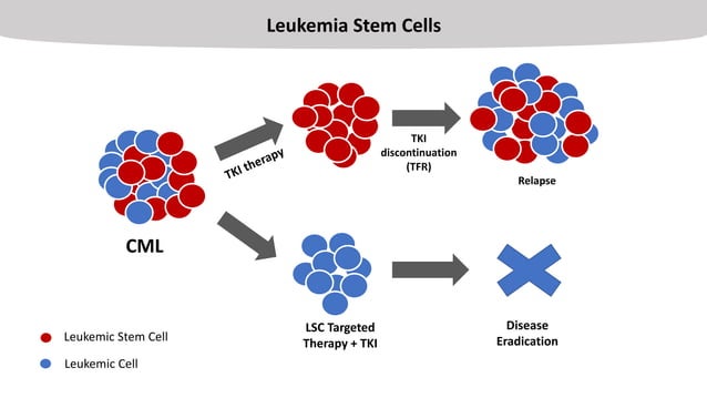 TKI Resistance Mechanisms in Chronic Myeloid Leukemia(CML) | PPTX