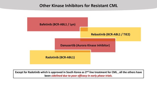 TKI Resistance Mechanisms in Chronic Myeloid Leukemia(CML) | PPTX