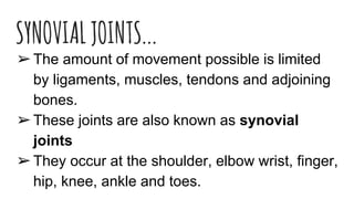 Types of skeletal joints in the human body | PPTX