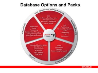 Database Options | PPT