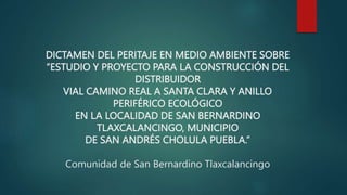 Tlaxca Presentación Peritaje Ambiental Bajadas Periferico | PPTX