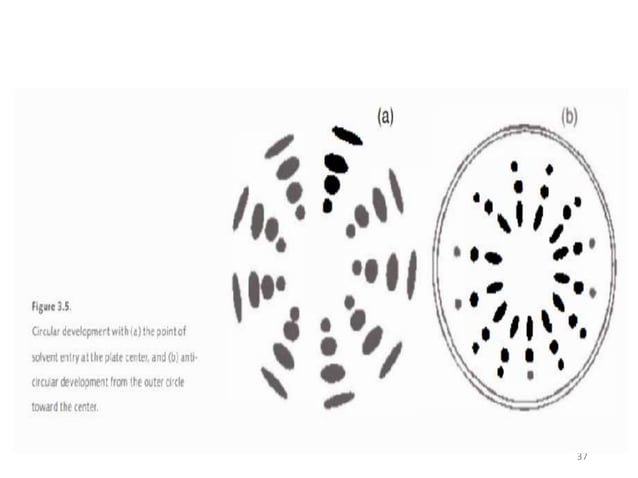 Tlc (Thin layer chromatography) | PPTX