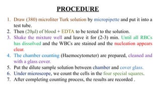 WBCs Count for Diploma in Medical Laboratory Technology | PPT