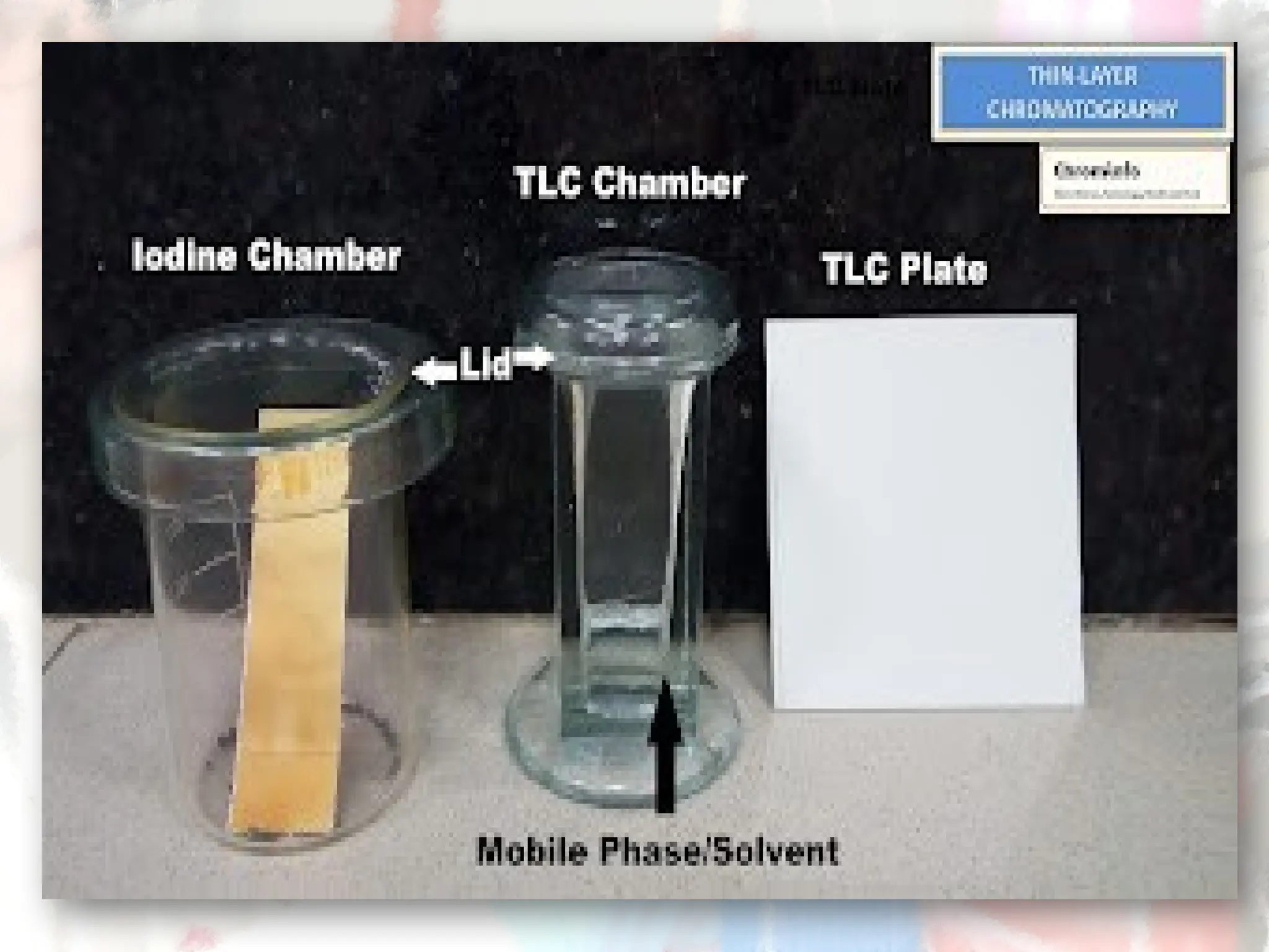 THIN LAYER CHROMATOGRAPHY- Power point presentationpptx | PPTX