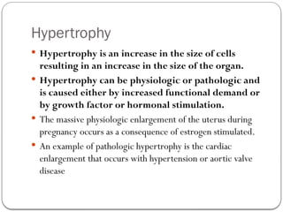 introduction general pathology slides from Robins pathology | PPTX