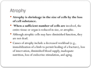 introduction general pathology slides from Robins pathology | PPTX