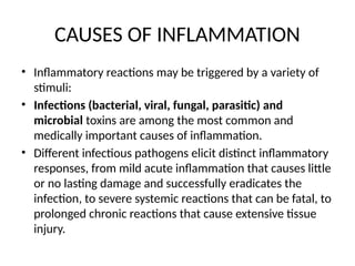 Acute and Chronic inflammation from Robins Basic pathology | PPTX