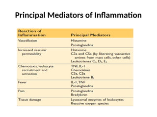 Acute and Chronic inflammation from Robins Basic pathology | PPTX