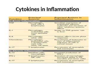 Acute and Chronic inflammation from Robins Basic pathology | PPTX