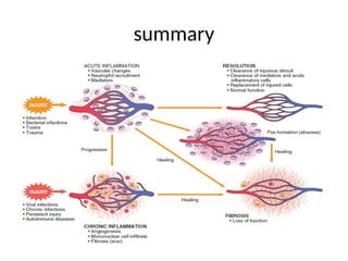 Acute and Chronic inflammation from Robins Basic pathology | PPTX