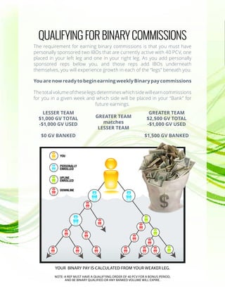 Total Life Changes Compensation Plan - 2015 | PDF