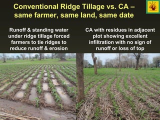 SCALING-UP CA SYSTEMS – FROM PLOT TO DISTRICT AND REGIONAL LEVELS | PPT