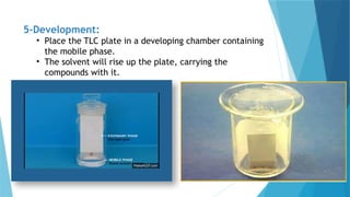 TLC presentation 1(5) section.pptxيييييييييي | PPT