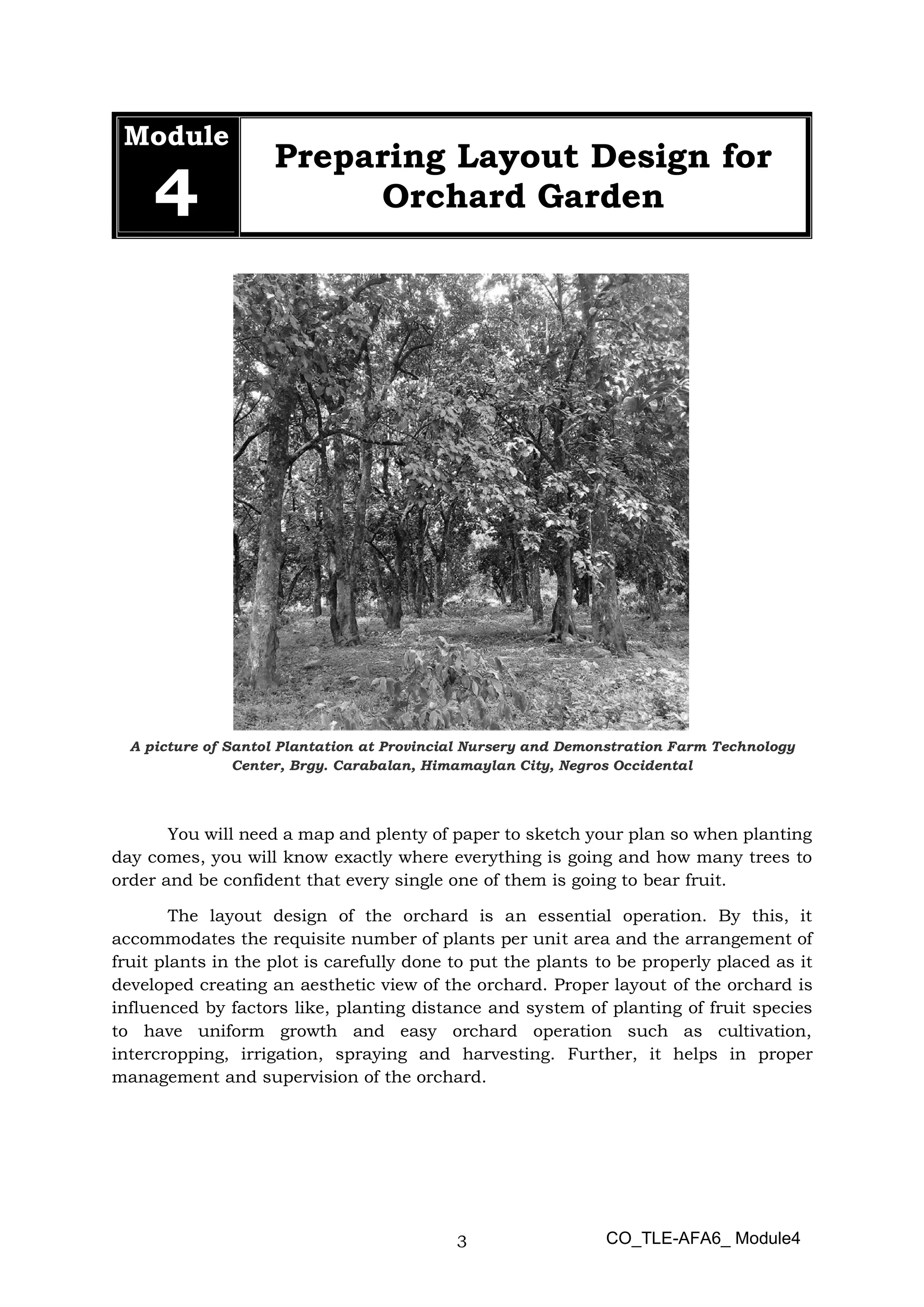 TLE-AFA6_mod4_Preparing-Layout-Design-for-Orchard-Garden.pdf