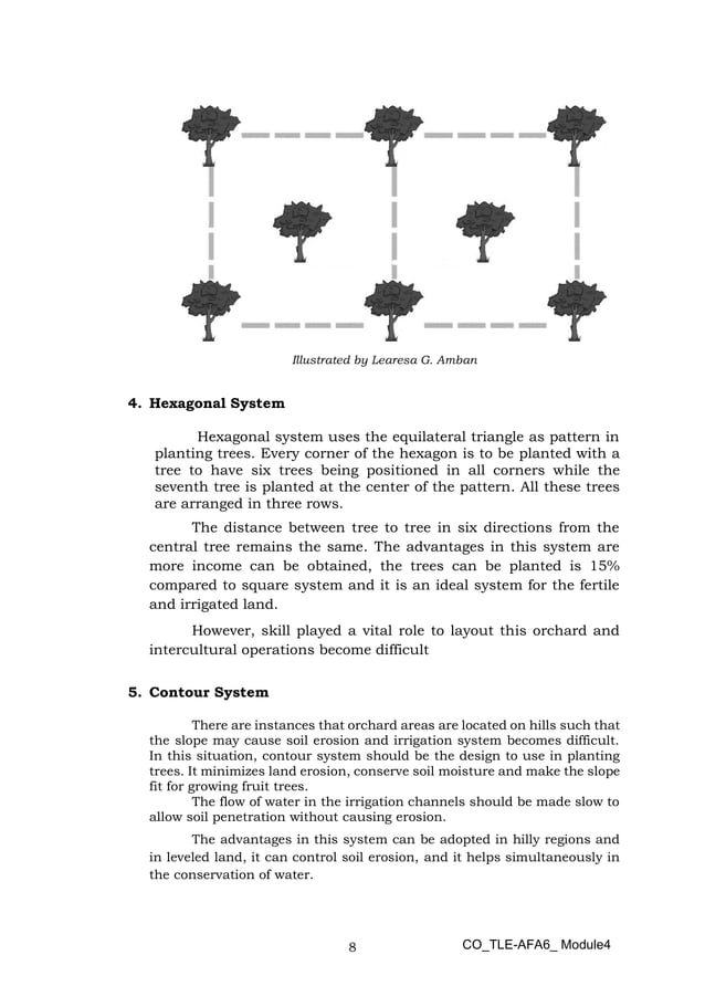 TLE-AFA6_mod4_Preparing-Layout-Design-for-Orchard-Garden.pdf