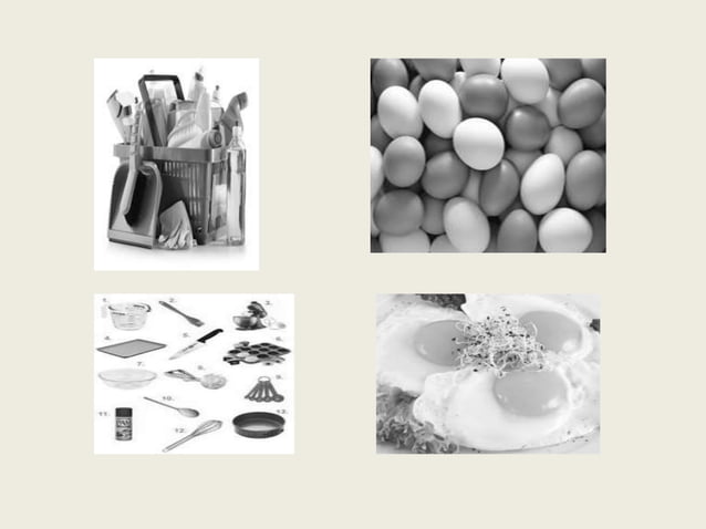 TLE-HE 10 ANATOMY OF EGG | PPTX