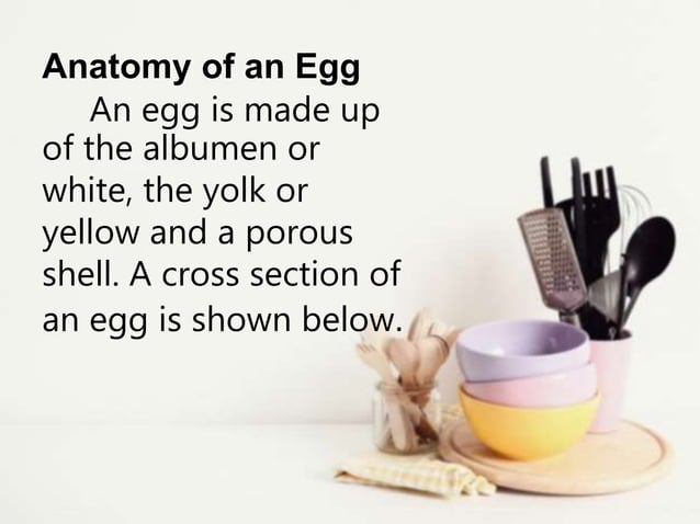 TLE-HE 10 ANATOMY OF EGG | PPTX