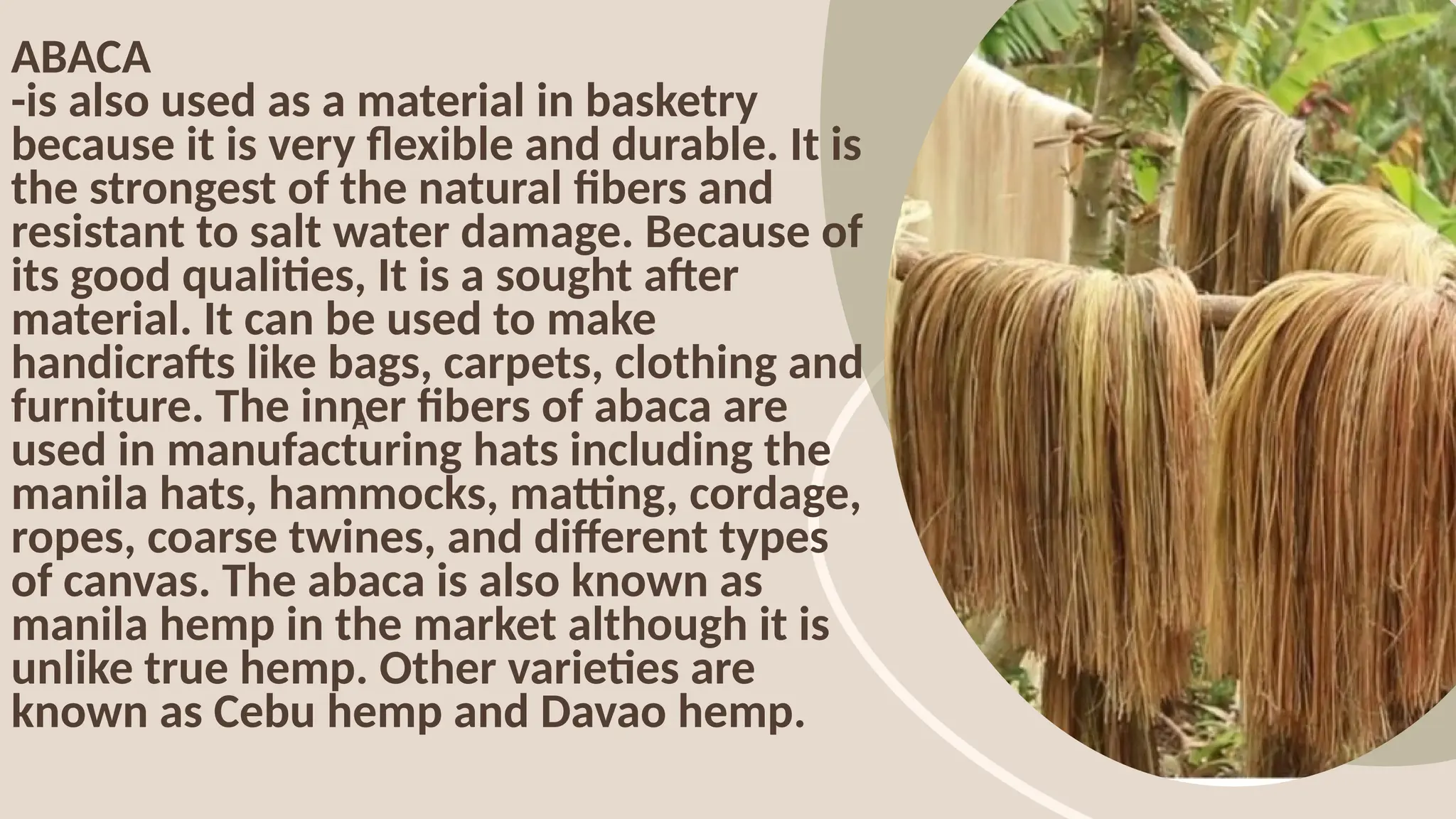 TLE 10-HANDICRAFT (MACRAME AND BASKETRY) | PPTX