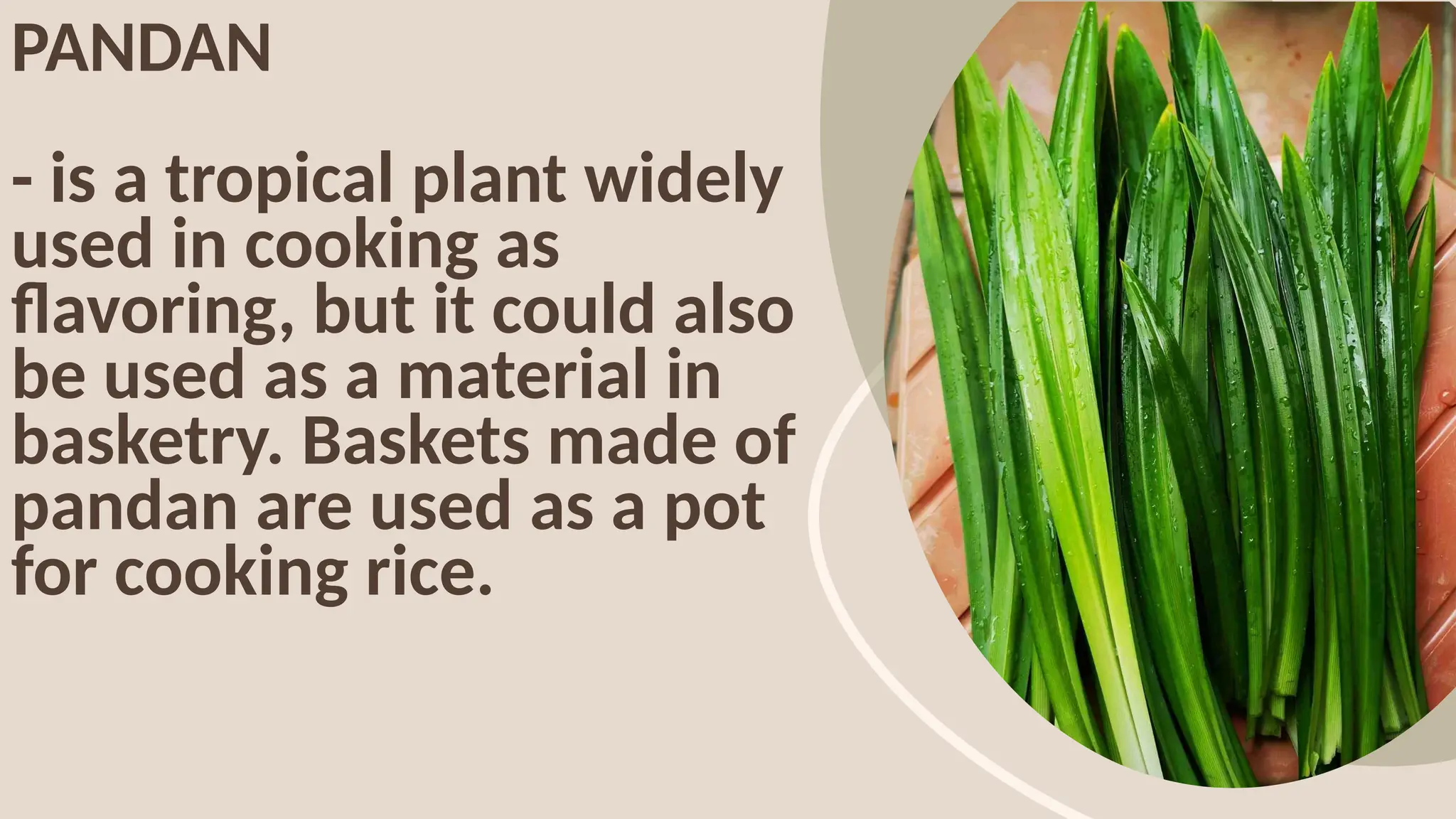 TLE 10-HANDICRAFT (MACRAME AND BASKETRY) | PPTX