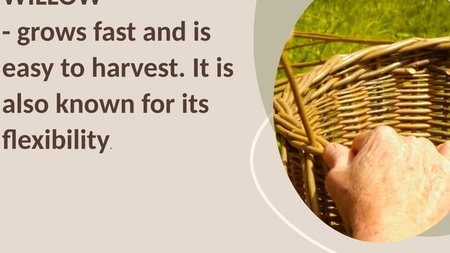 TLE 10-HANDICRAFT (MACRAME AND BASKETRY) | PPTX