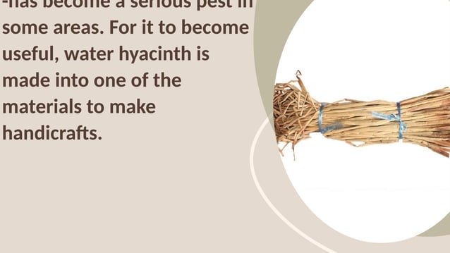 TLE 10-HANDICRAFT (MACRAME AND BASKETRY) | PPTX