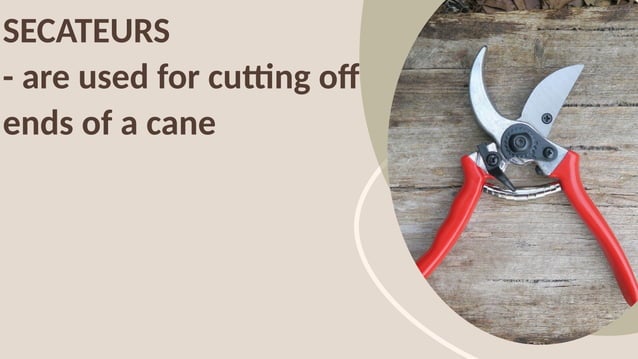 TLE 10-HANDICRAFT (MACRAME AND BASKETRY) | PPTX