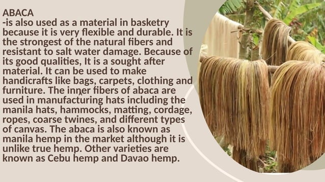 TLE 10-HANDICRAFT (MACRAME AND BASKETRY) | PPTX