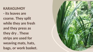 TLE 10-HANDICRAFT (MACRAME AND BASKETRY) | PPTX