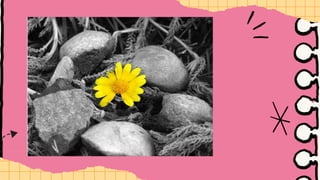 TECHNOLOGY AND LIVELIHOOD EDUCATION ICT-ILLUSTRATION | PPTX