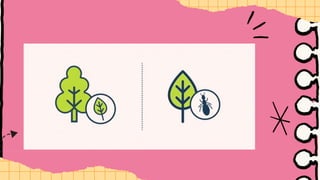 TECHNOLOGY AND LIVELIHOOD EDUCATION ICT-ILLUSTRATION | PPTX