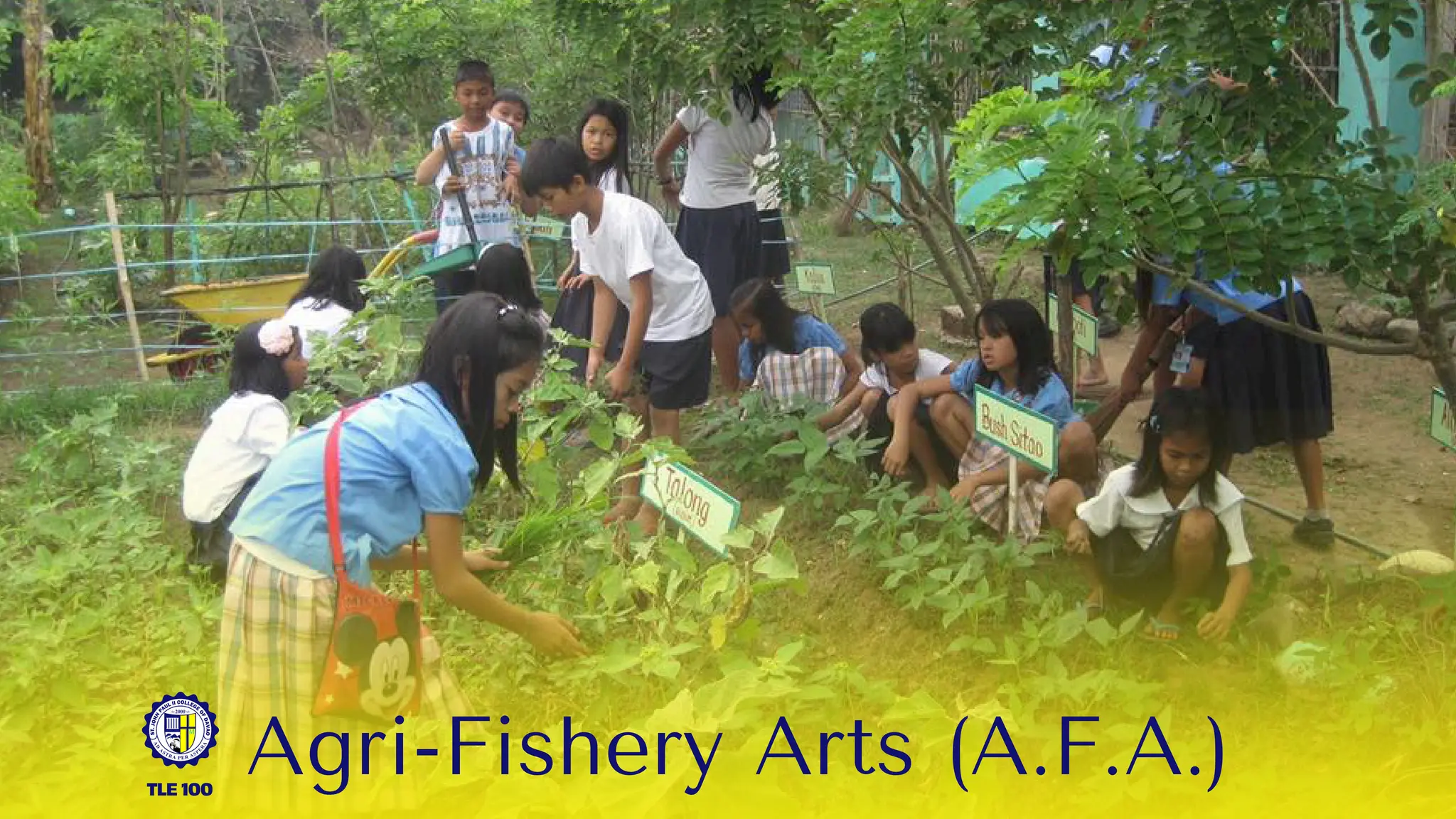 Philippine Edukasyong Pantahanan at Pangkabuhayan (EPP) Curriculum | PDF