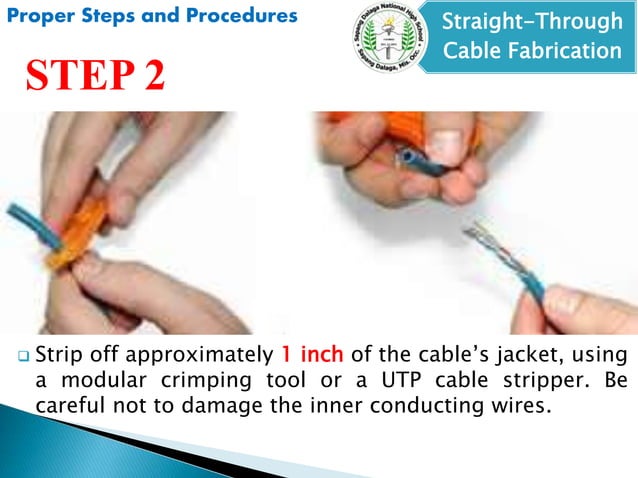 TLE 10 (ICT): LAN Cabling | PPTX | Computer Networking | Computing