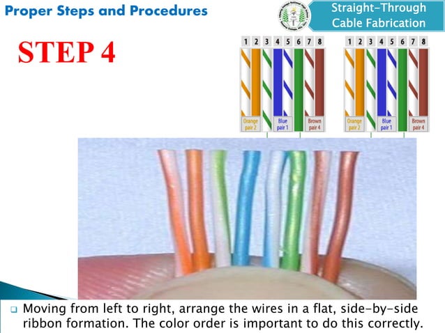 TLE 10 (ICT): LAN Cabling | PPTX | Computer Networking | Computing
