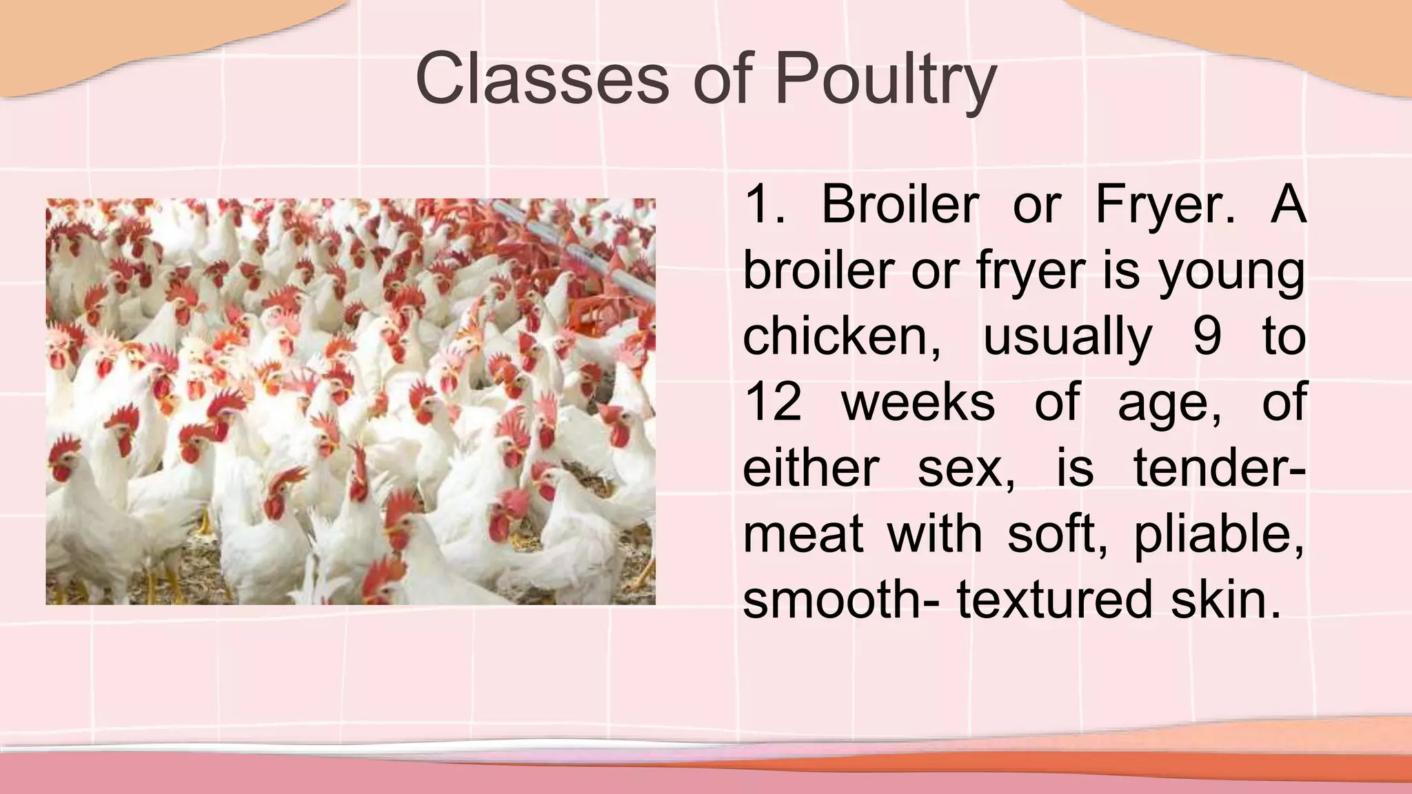 TLE 10 POULTRY.pptx