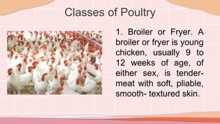 TLE 10 POULTRY.pptx