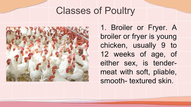 TLE 10 POULTRY.pptx
