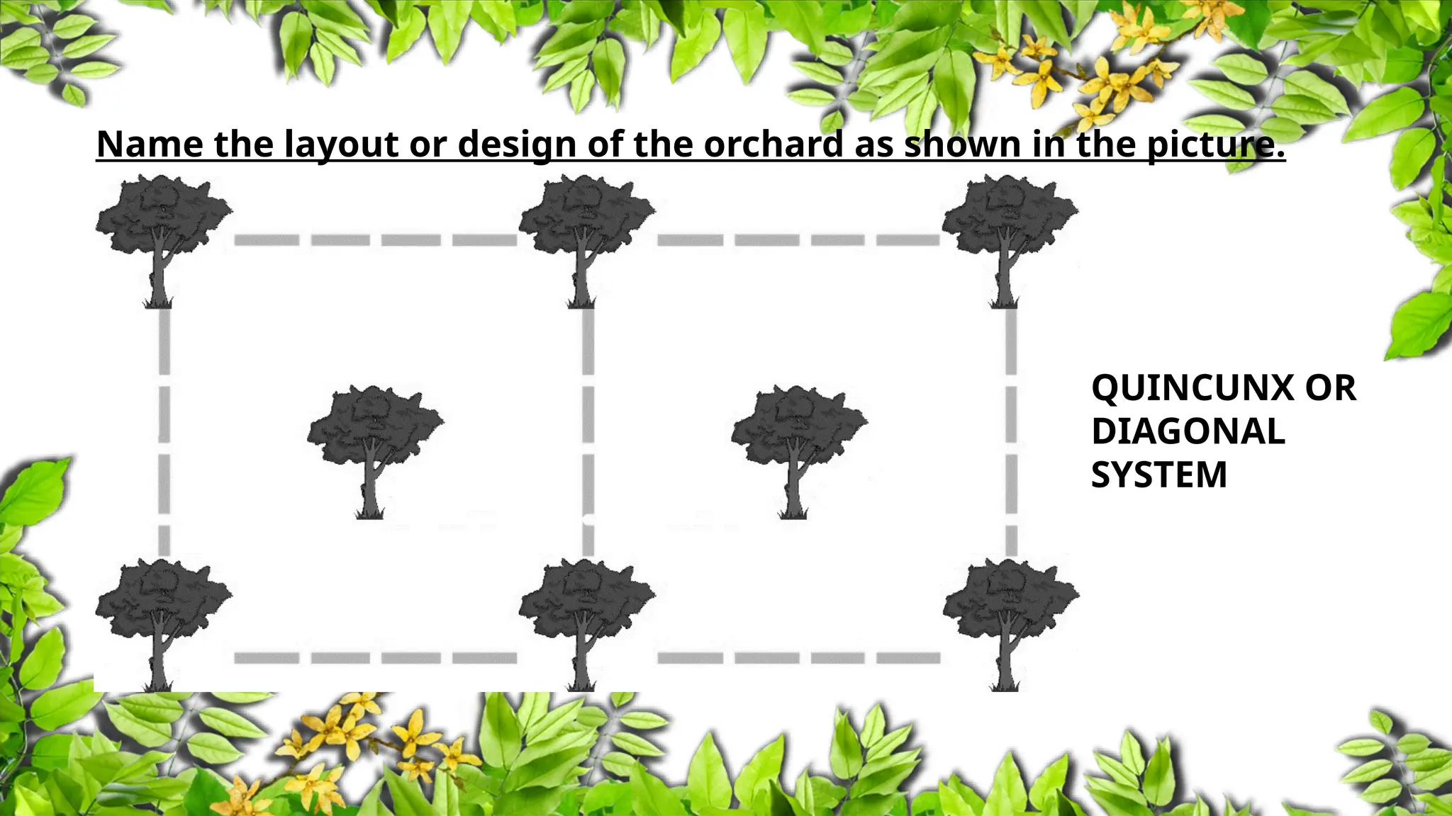 TLE 6 - AGRICULTURE Tools and Equipment for Plant Propagation.pptx
