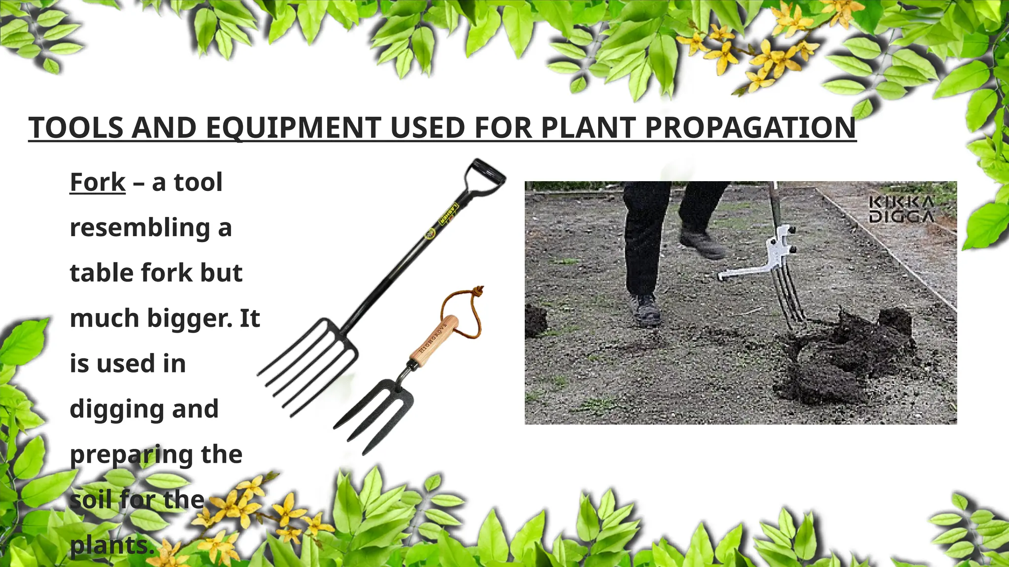 TLE 6 - AGRICULTURE Tools and Equipment for Plant Propagation.pptx