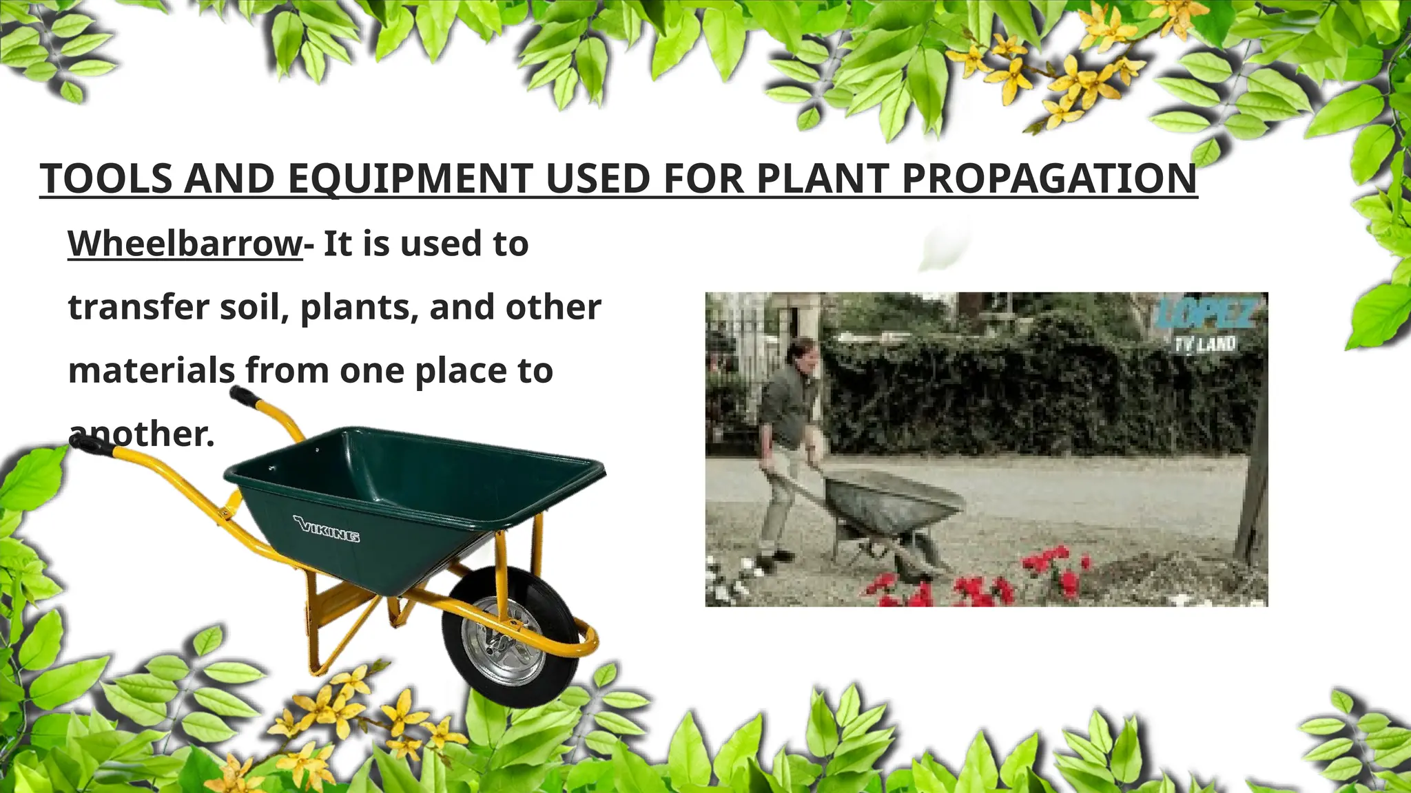 TLE 6 - AGRICULTURE Tools and Equipment for Plant Propagation.pptx