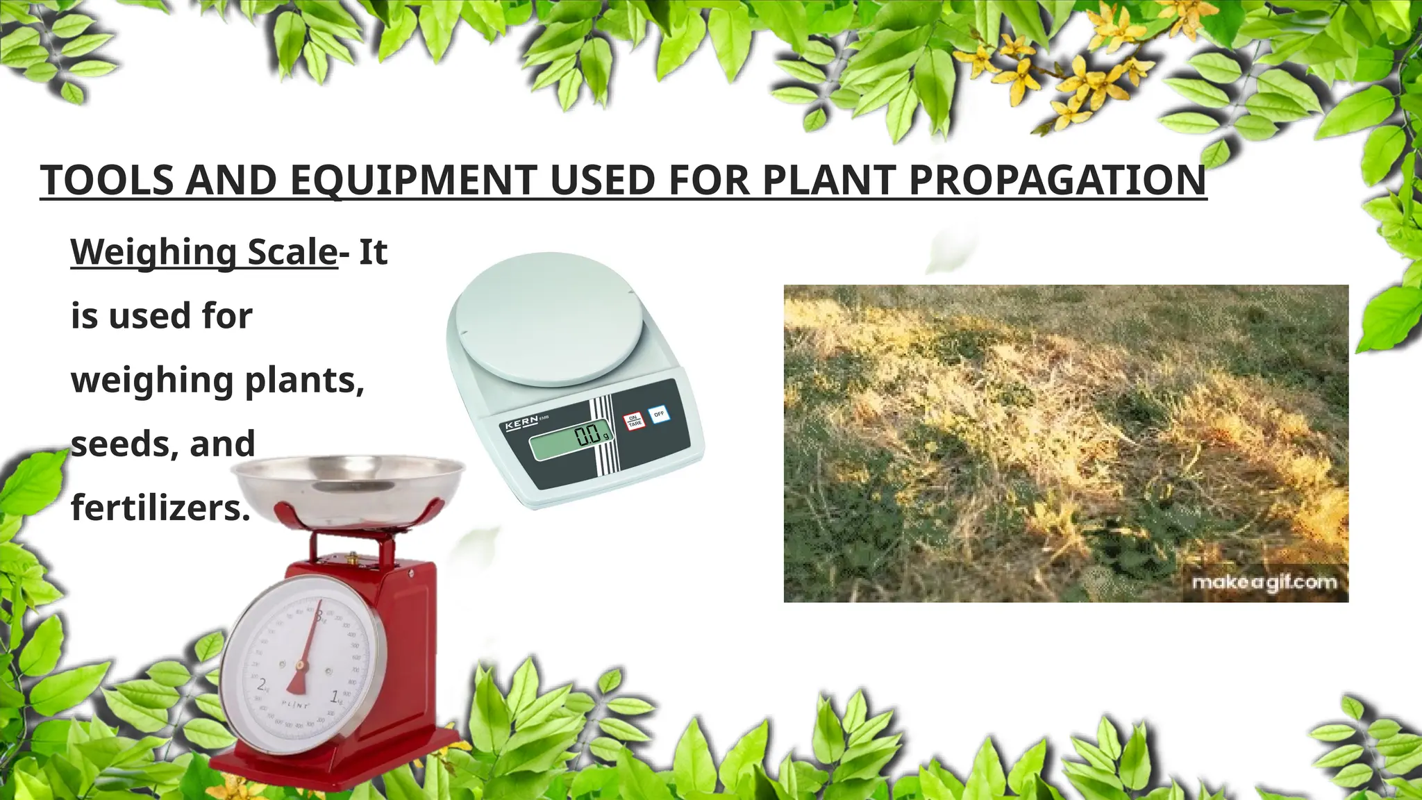 TLE 6 - AGRICULTURE Tools and Equipment for Plant Propagation.pptx