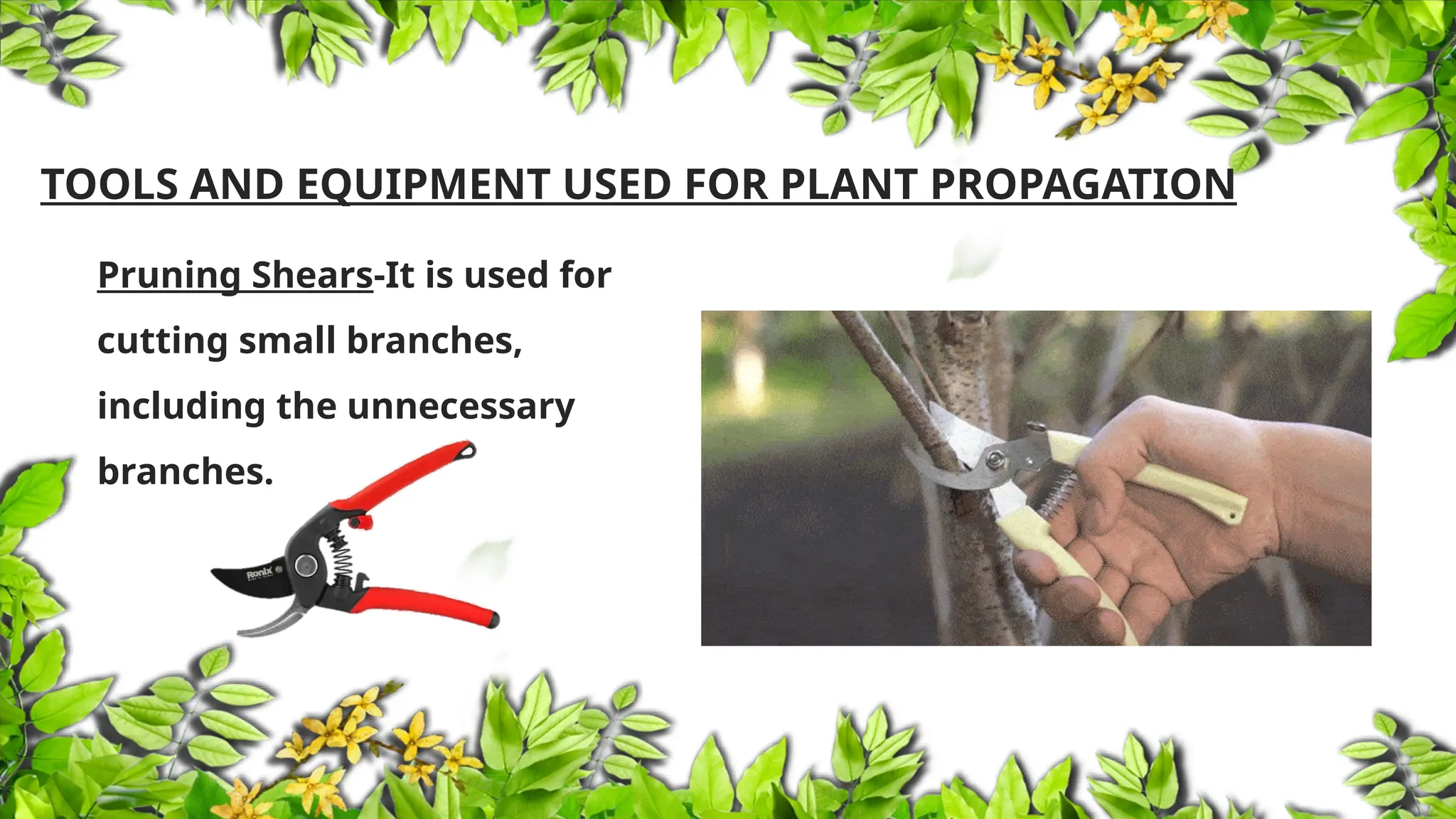 TLE 6 - AGRICULTURE Tools and Equipment for Plant Propagation.pptx