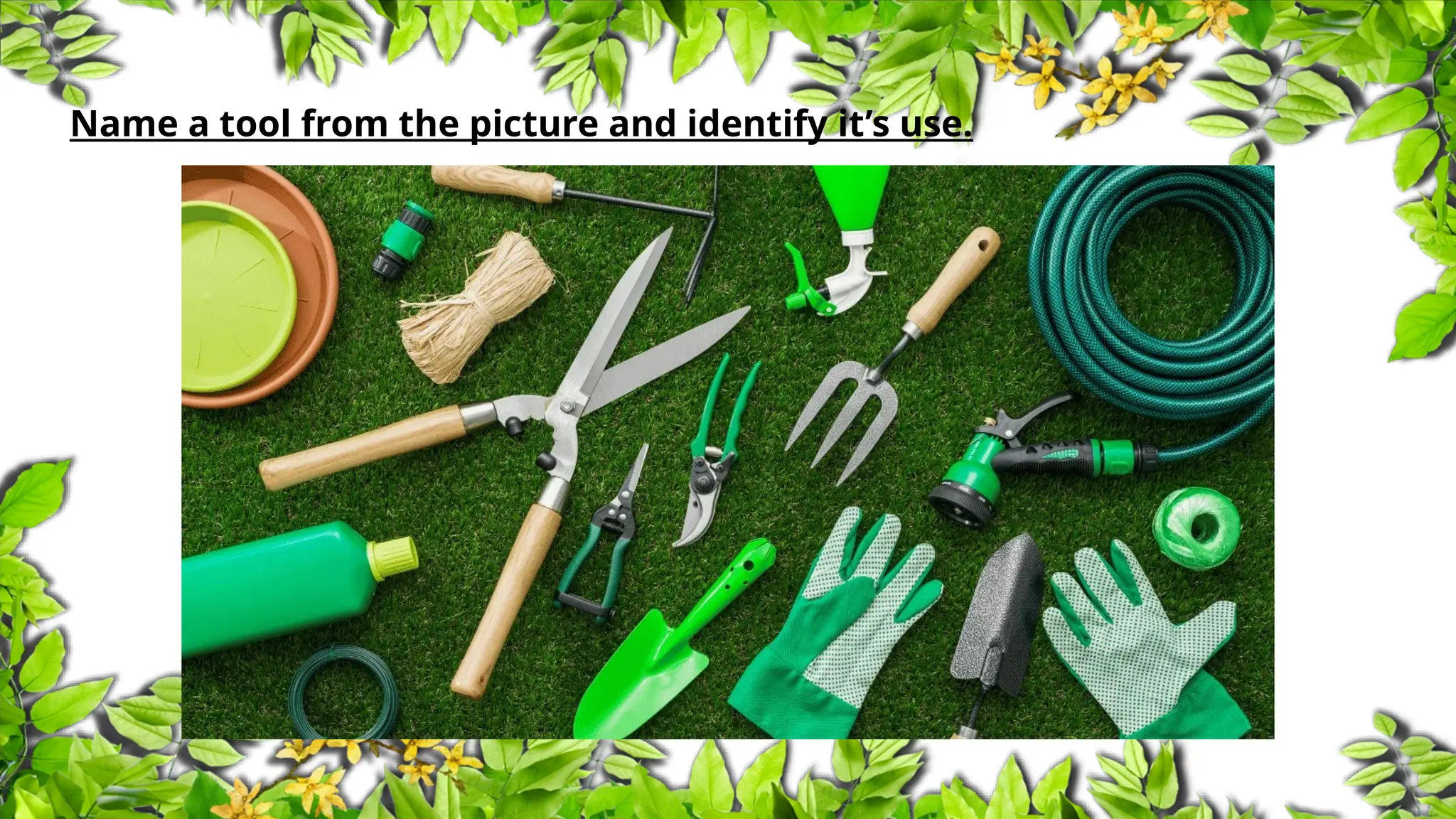 TLE 6 - AGRICULTURE Tools and Equipment for Plant Propagation.pptx